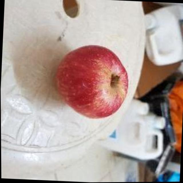 apple Classification Dataset by apple