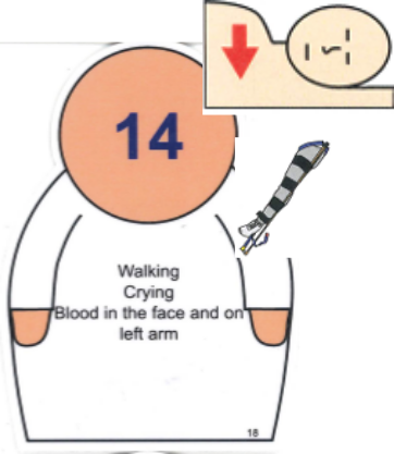 Custom Workflow Object Detection Object Detection Dataset and Pre ...