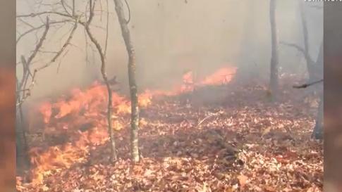 projet2 Object Detection Dataset by pfe info