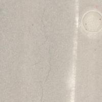 luizascarronealuno - Roboflow Universe