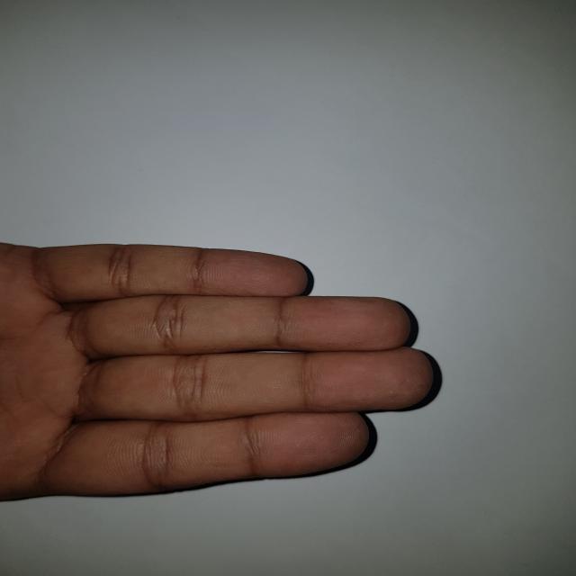 Hand 3 Instance Segmentation Dataset by webelementsdetect