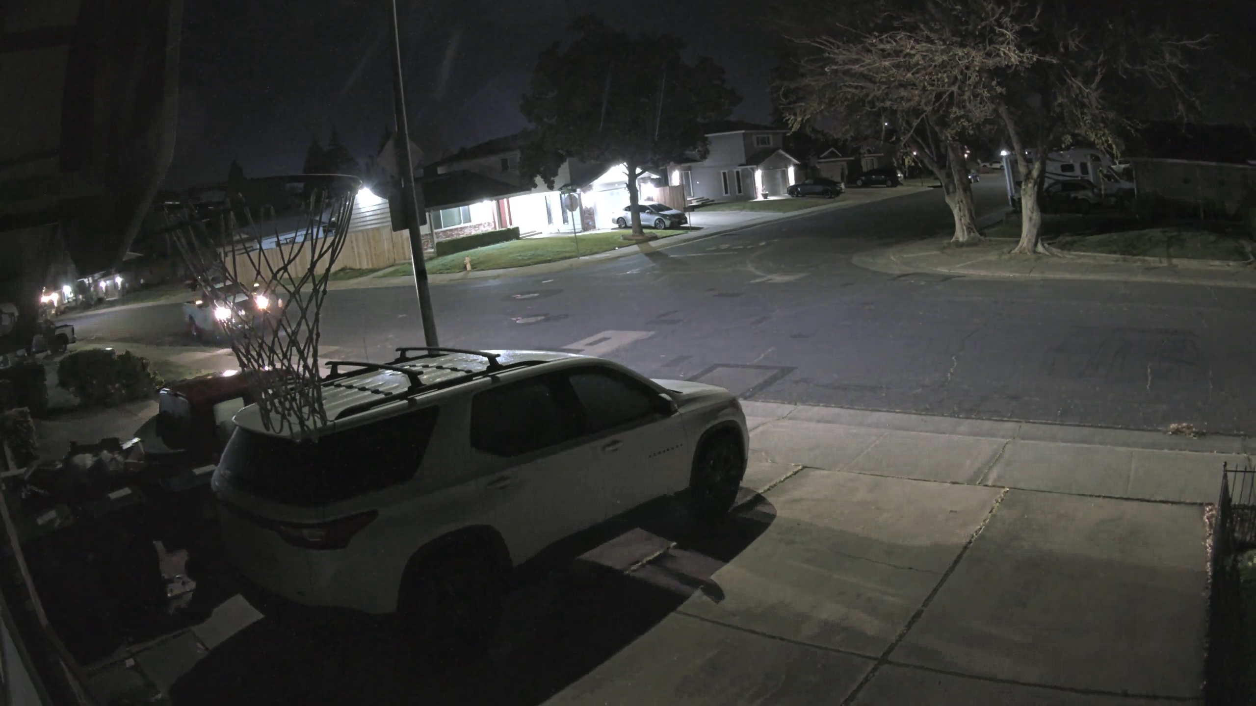 Training_Data_Queen Classification Dataset by StarLabs