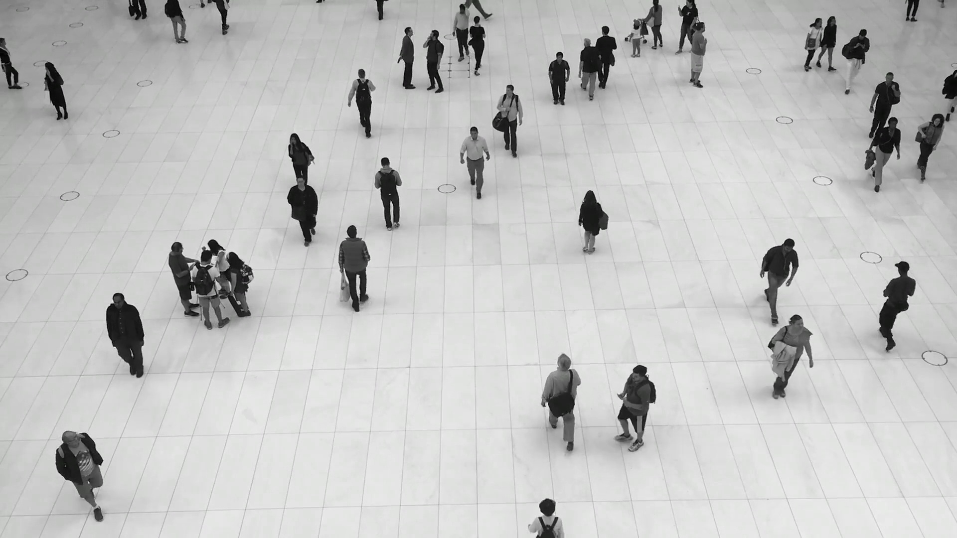 AI Variant - Roboflow Universe