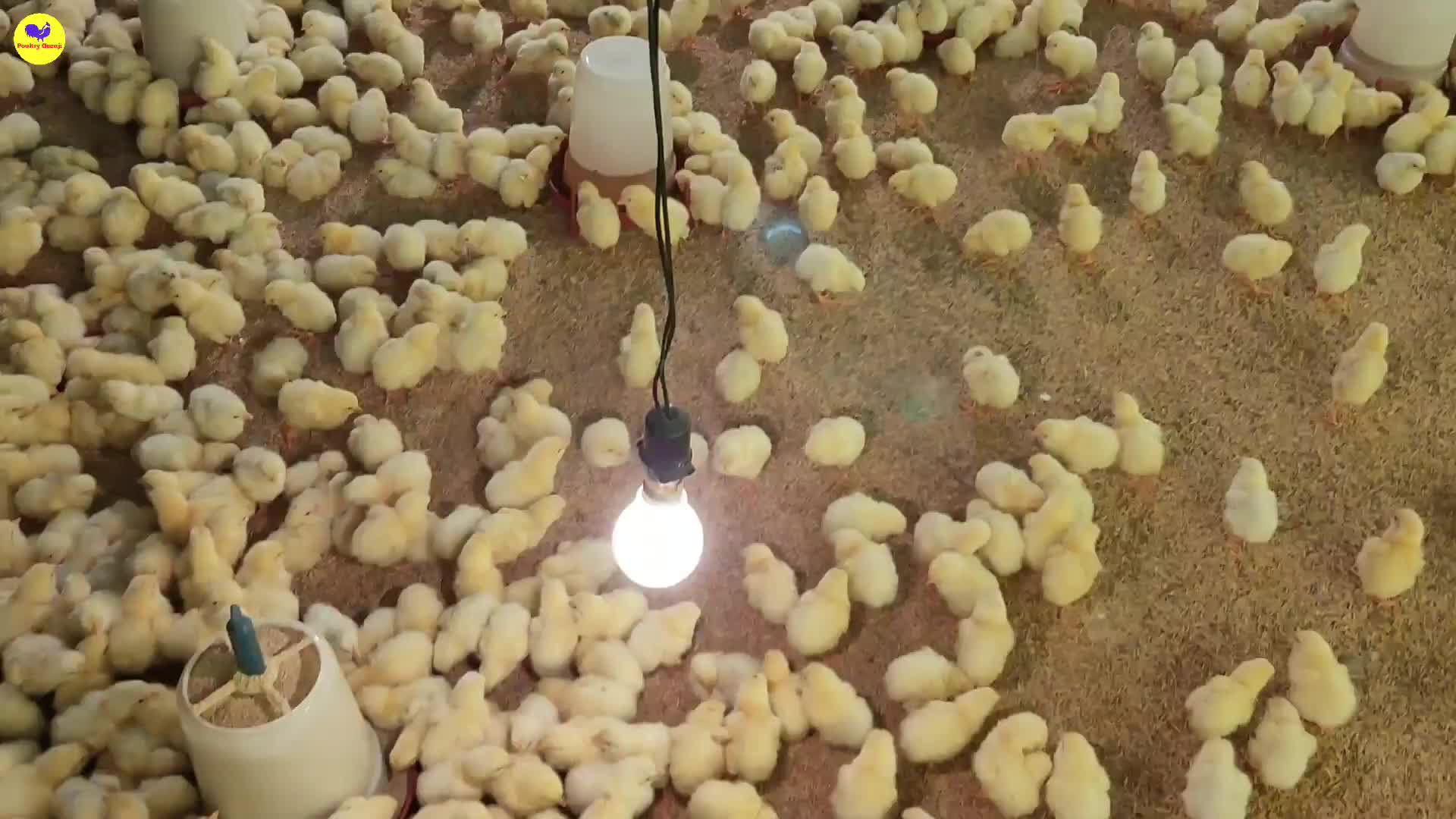 project2 Object Detection Dataset and Pre-Trained Model by agein1