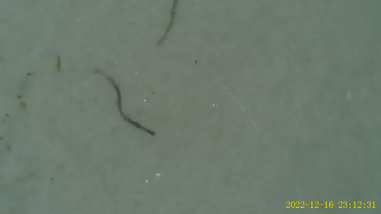 microplas - Roboflow Universe