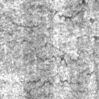 Neudet Object Detection Dataset and Pre-Trained Model by Telkom University