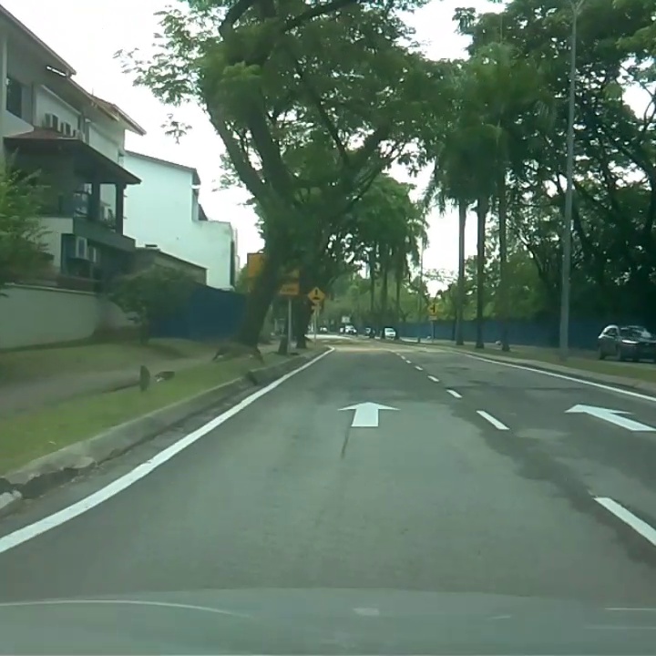 Speedbump Detection (Day) Object Detection Dataset and Pre-Trained Model by Lawrence Wong