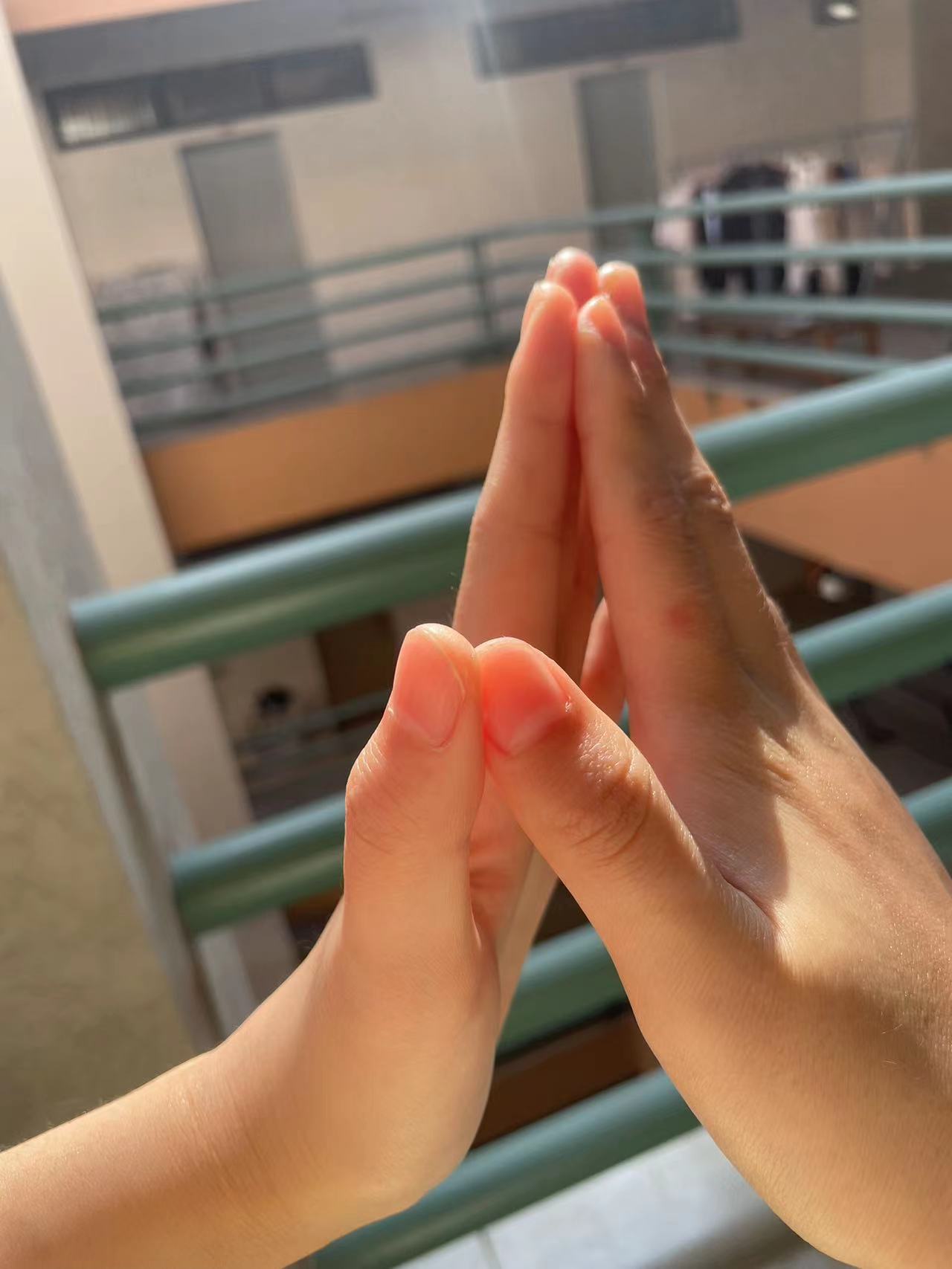 gesture Object Detection Dataset and Pre-Trained Model by Vvvv