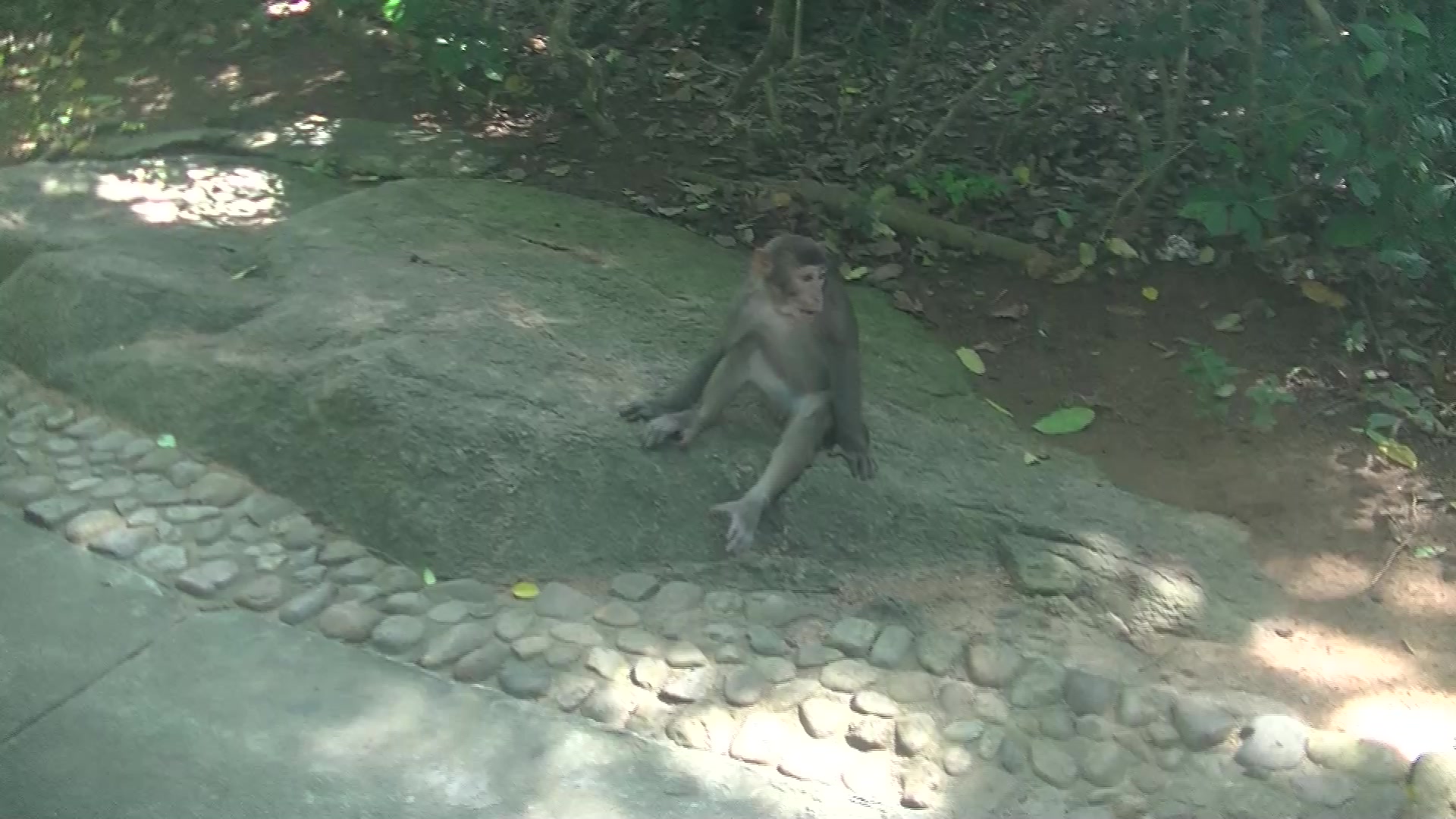 wcfd - Roboflow Universe