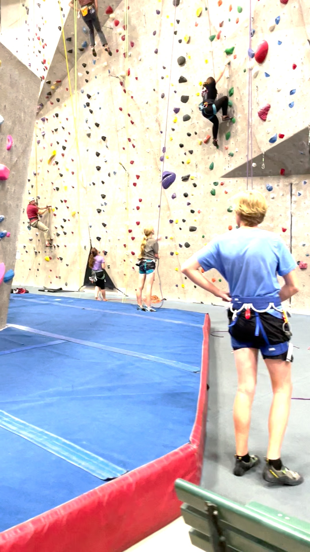 Climbing Gym Detection Object Detection Dataset by Studio