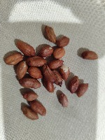 BashBash Labs - Roboflow Universe