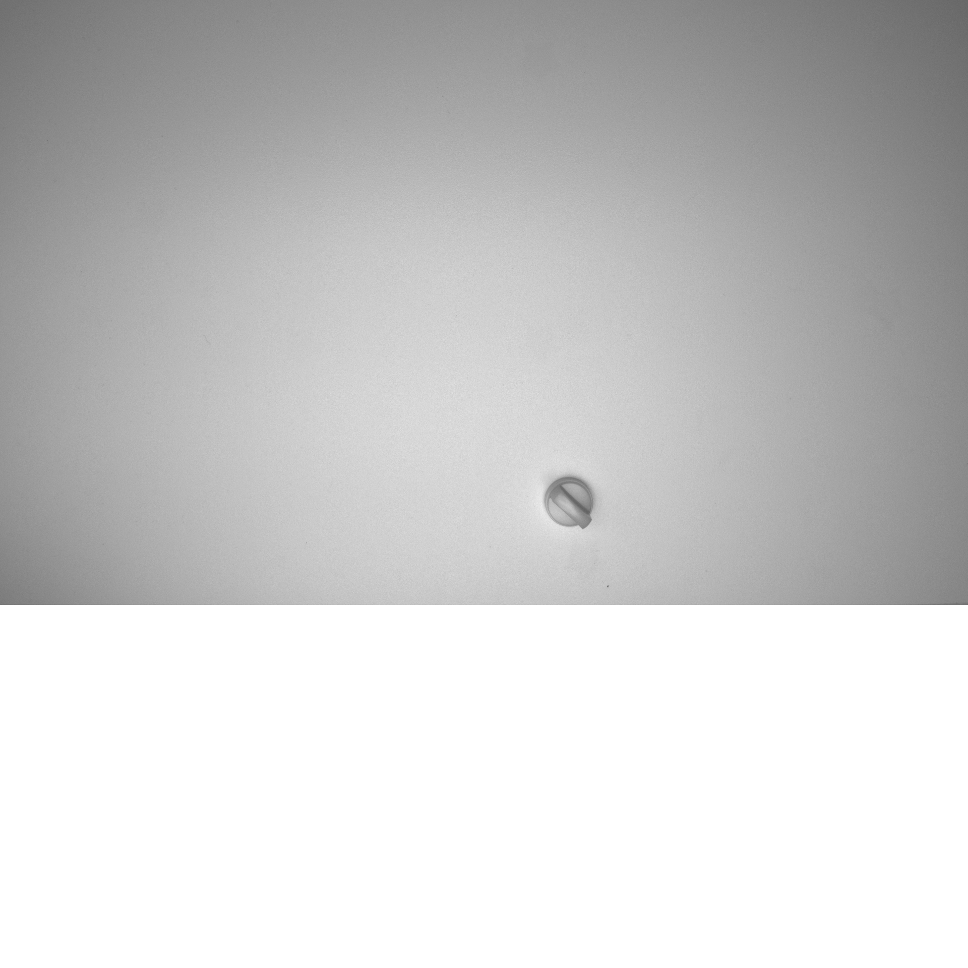Euclid Object Detection Model by unipd