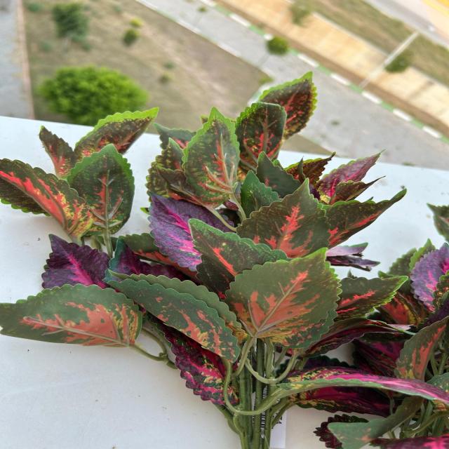 Bitki Object Detection Dataset By Miray