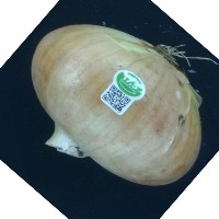 onion dataset - Roboflow Universe