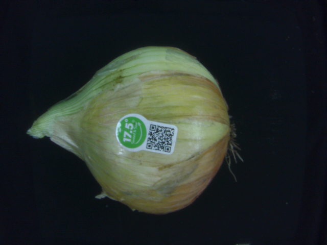 onion dataset - Roboflow Universe