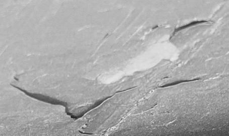 aircraft-skin-defects Object Detection Dataset by Toronto Metropolitan ...