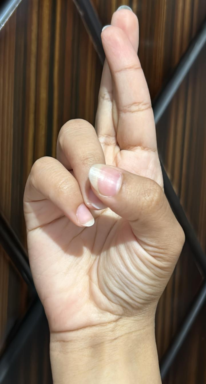 dataset_Tic-Tac-Toe Object Detection Model by TicTacToe