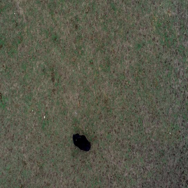 cow count Object Detection Dataset and Pre-Trained Model by nicomedia