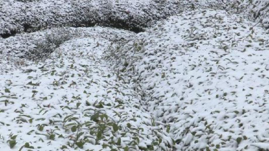 AutoML (automl-ew9jp) - Roboflow Universe