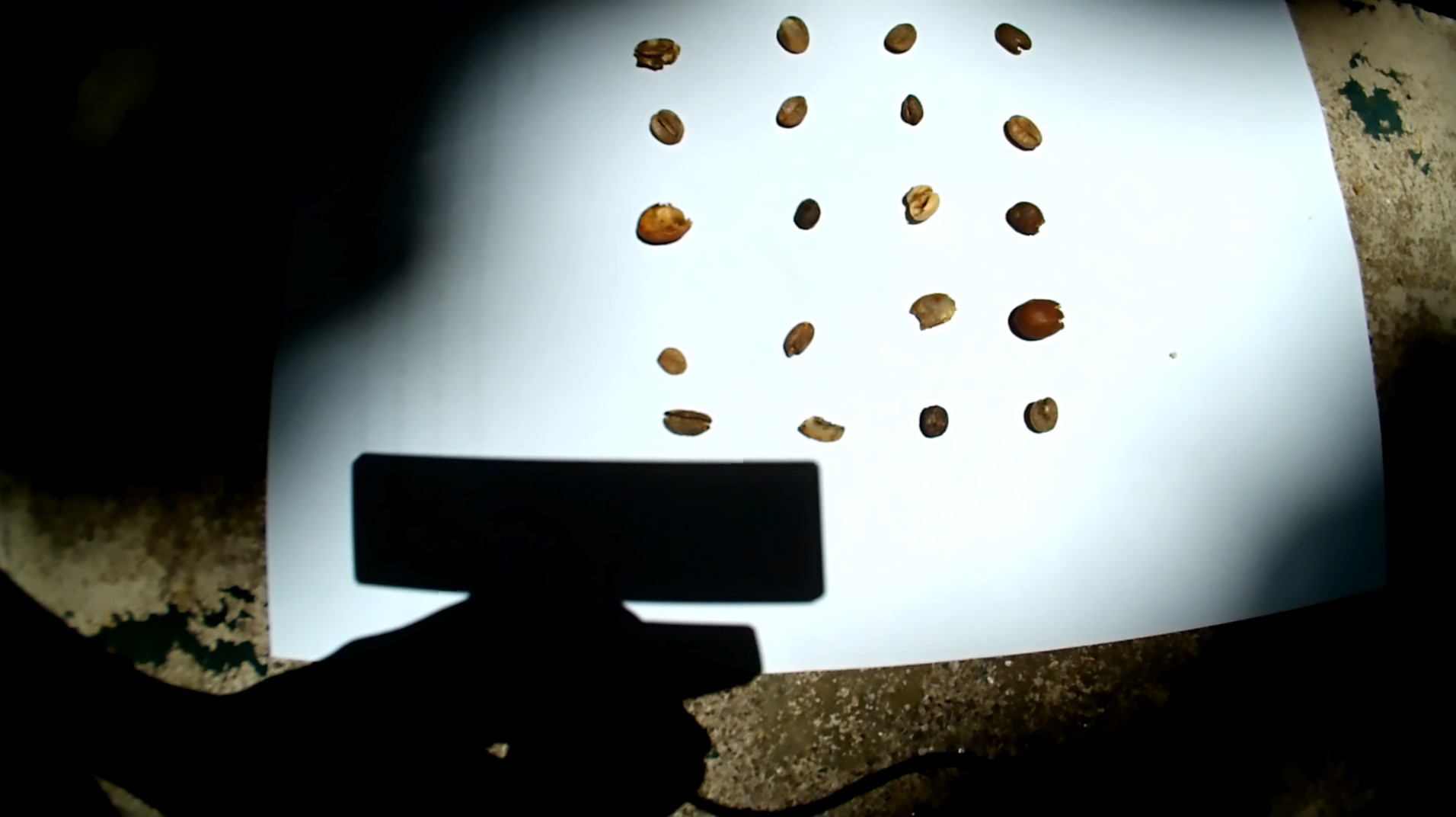 Detection Object Detection Dataset by THESIS