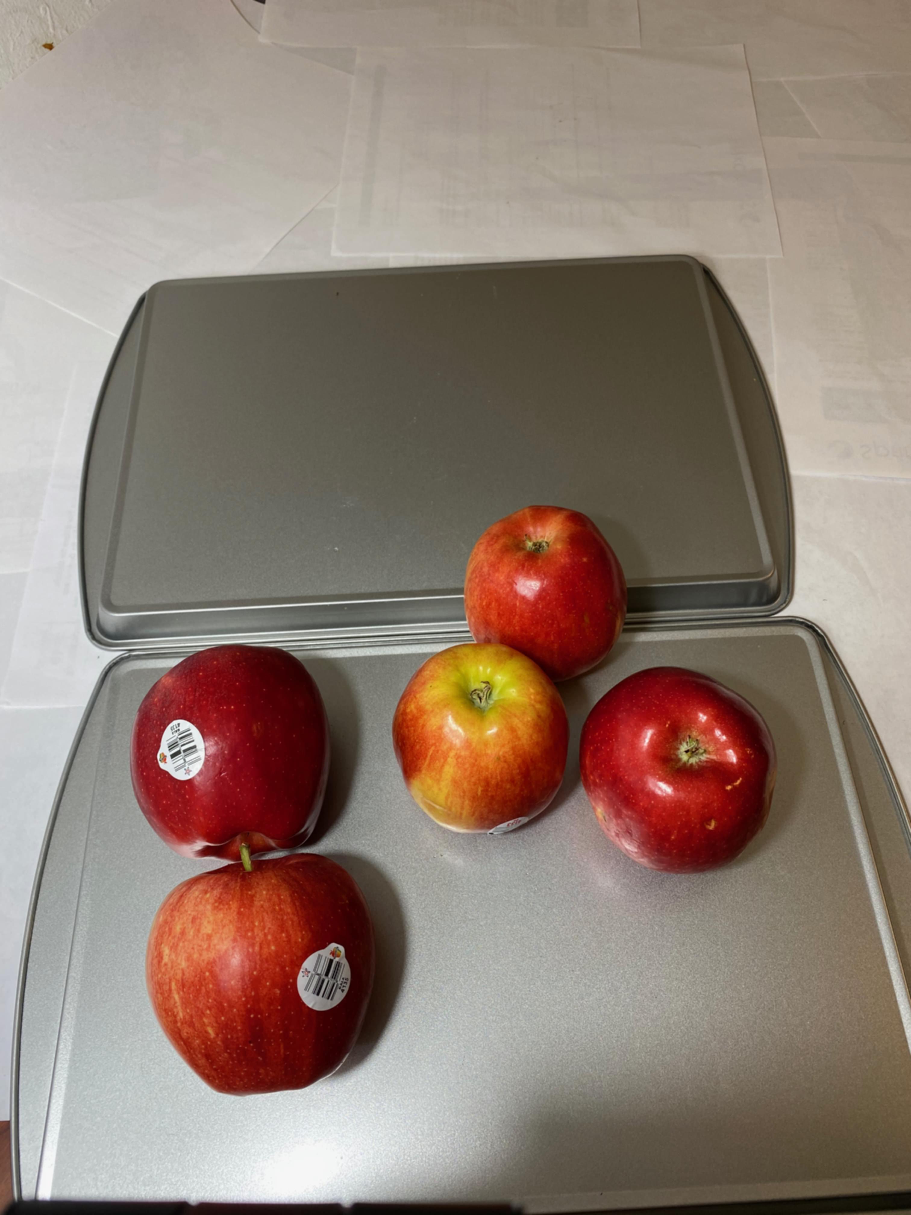 fruit annotations Object Detection Model by poori