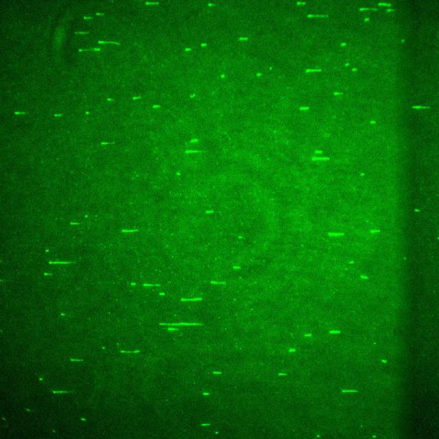 actin project Instance Segmentation Model by workspace