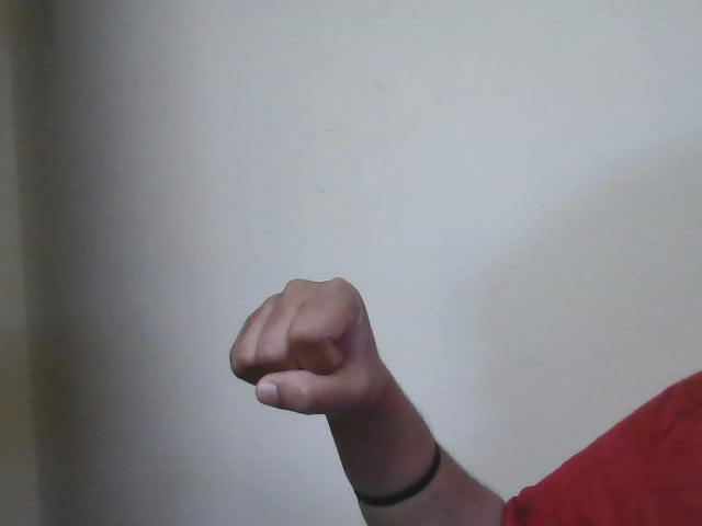 yolo_hand Object Detection Dataset by Anagha R