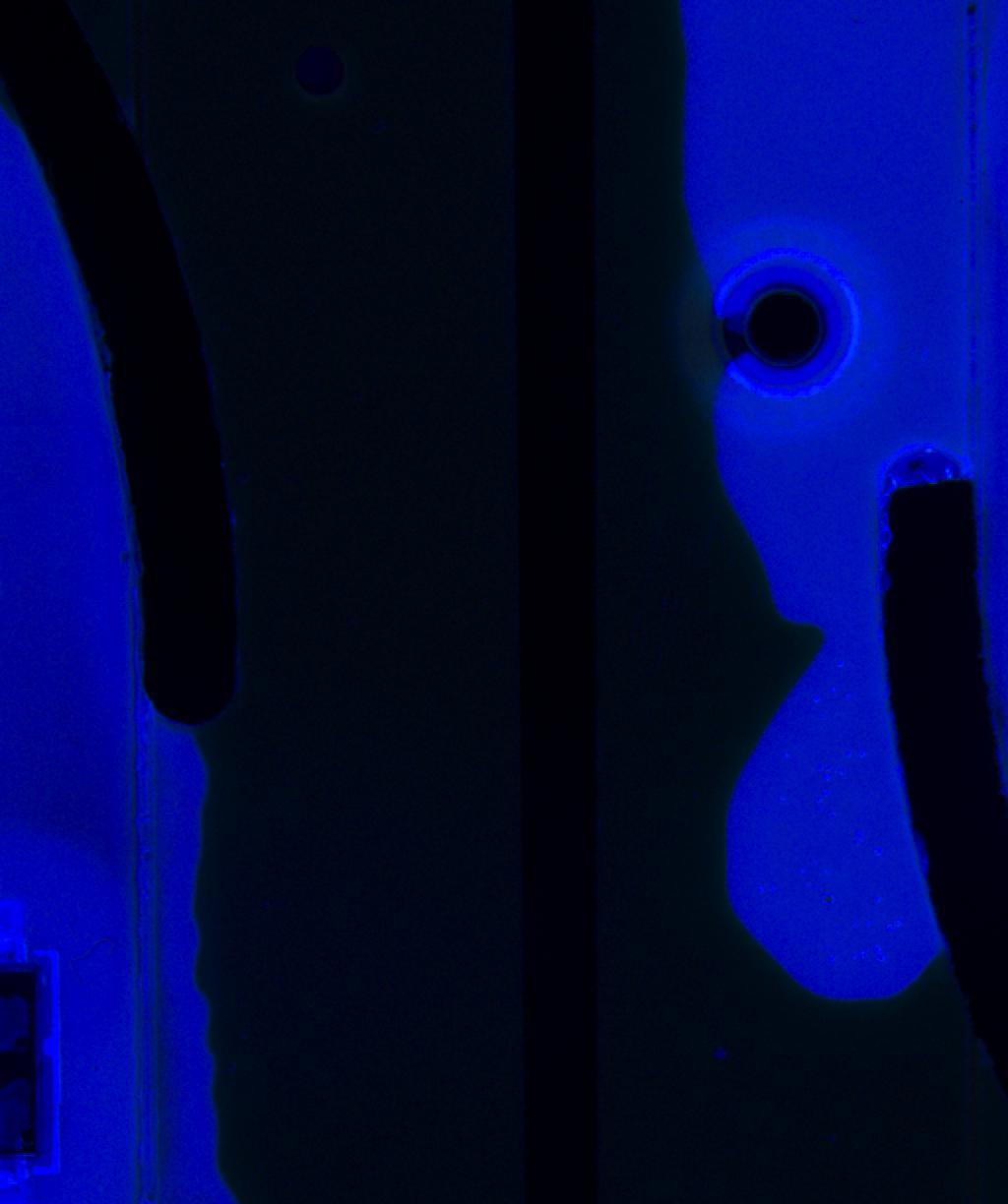 cci-bubble Object Detection Dataset by shanghai jiaotong university