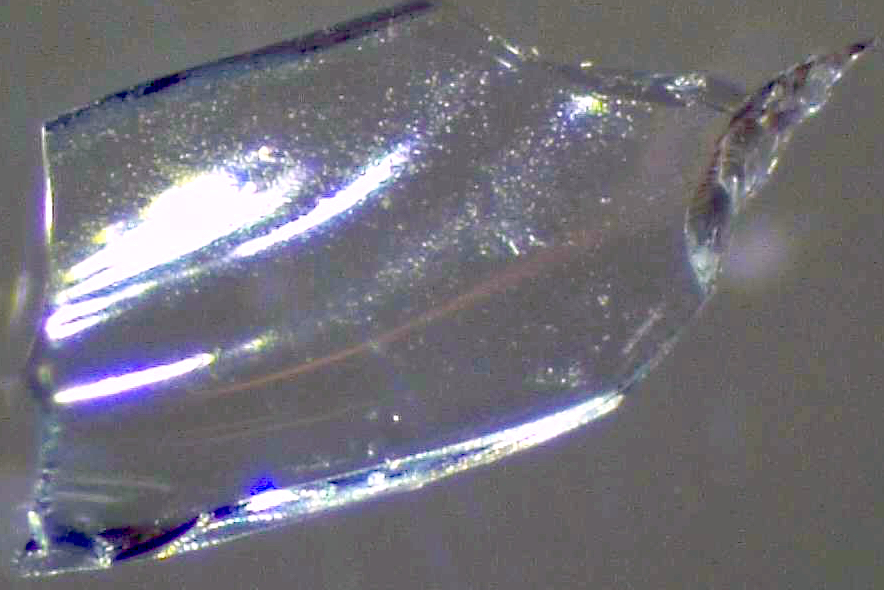 Microplastic Finder Object Detection Dataset by Microplasticstrial