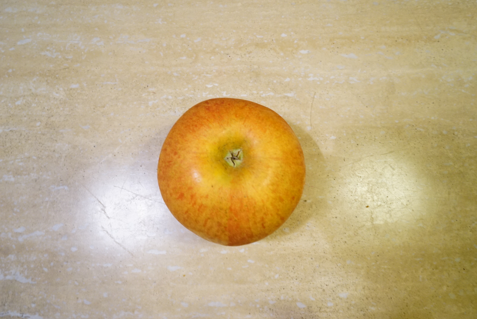 apple Object Detection Dataset and Pre-Trained Model by custom