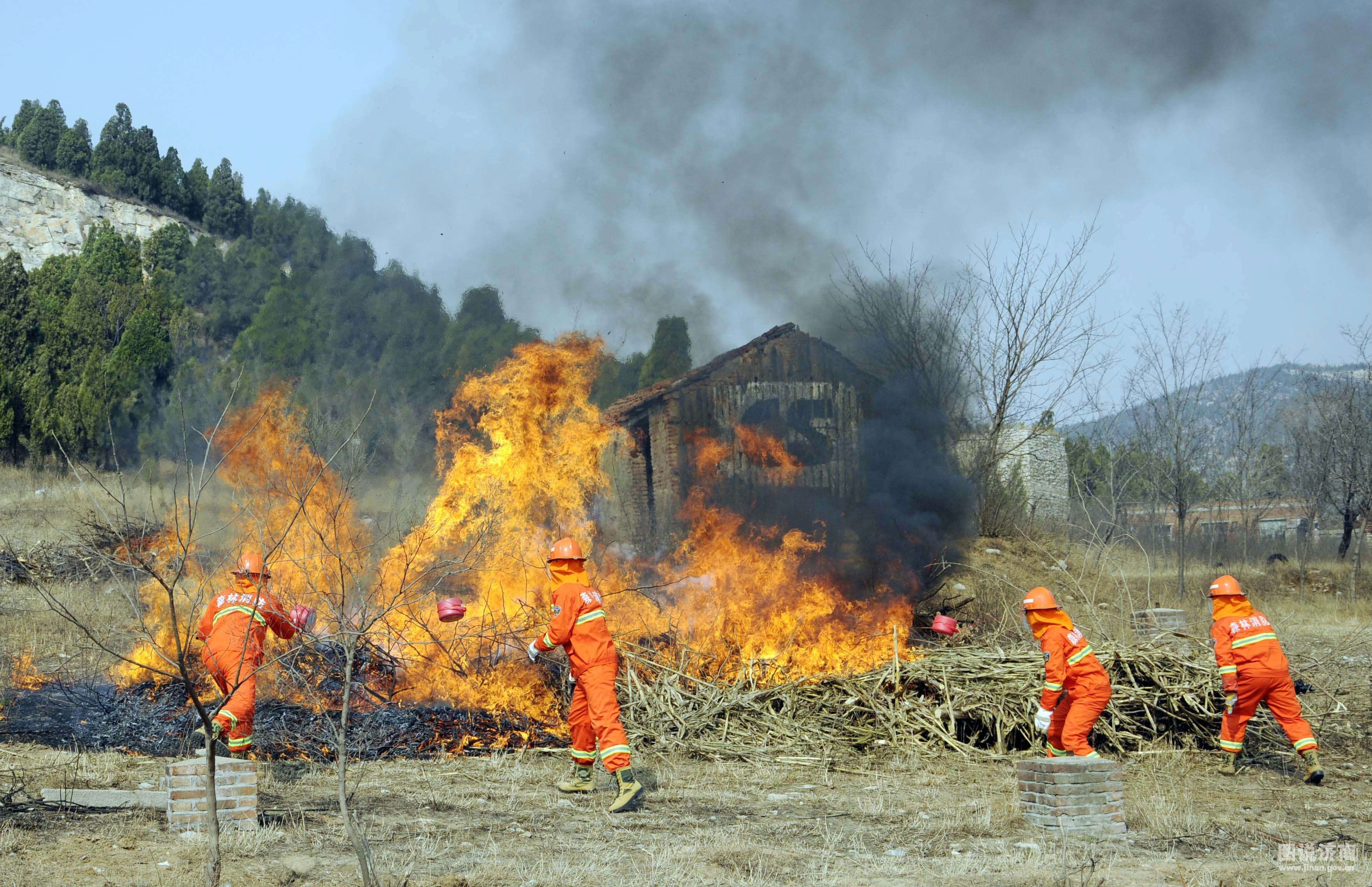 fire-detection Object Detection Dataset by sdfwer