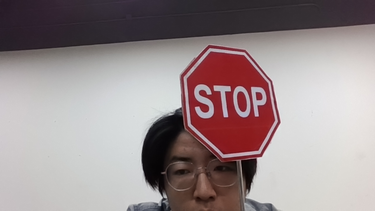 Lab2 Object Detection Dataset by redgreenstop