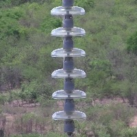 InsPLAD-seg Instance Segmentation Model by andreluizbvs