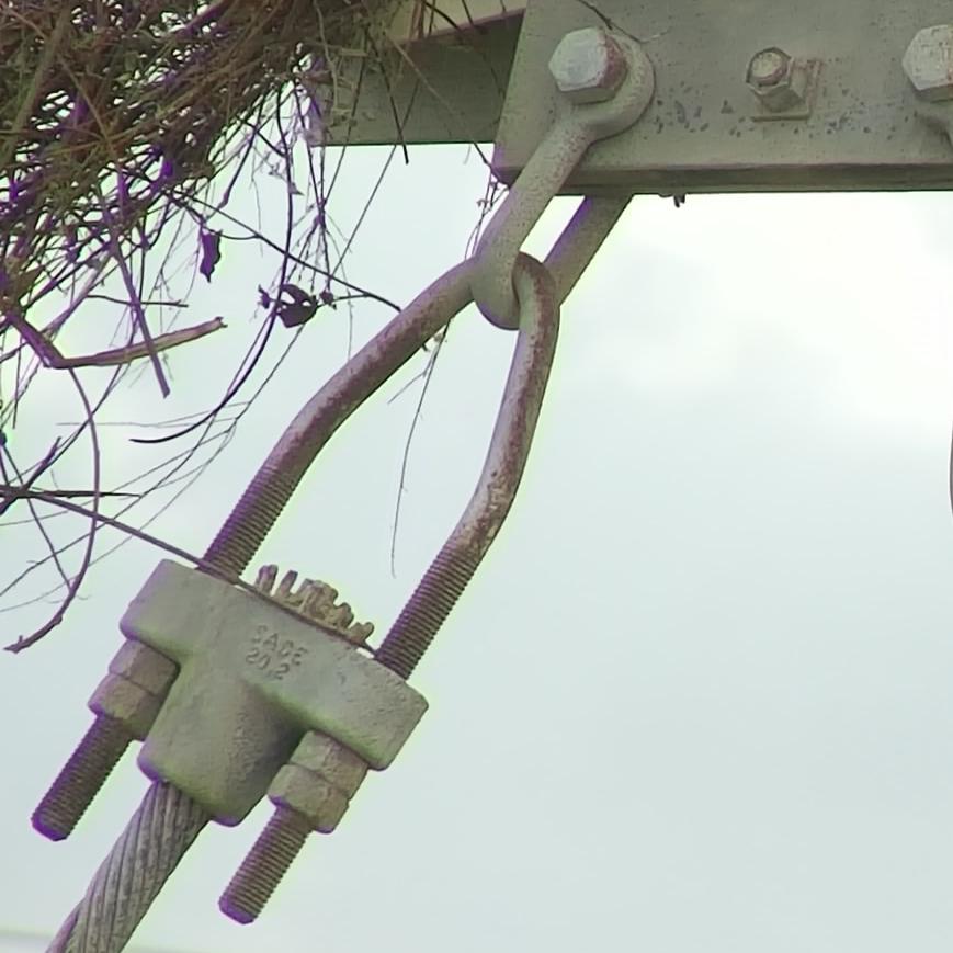 InsPLAD-seg Instance Segmentation Model by andreluizbvs