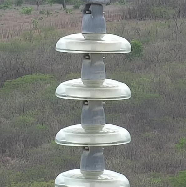 glass-insulator-seg-data Instance Segmentation Dataset by andreluizbvs