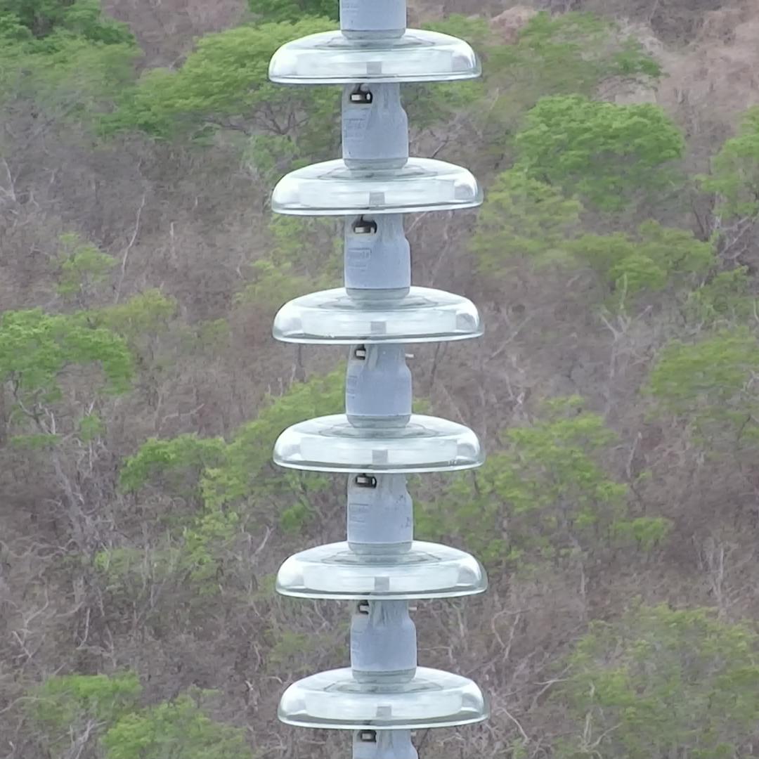 InsPLAD-seg Instance Segmentation Dataset by andreluizbvs