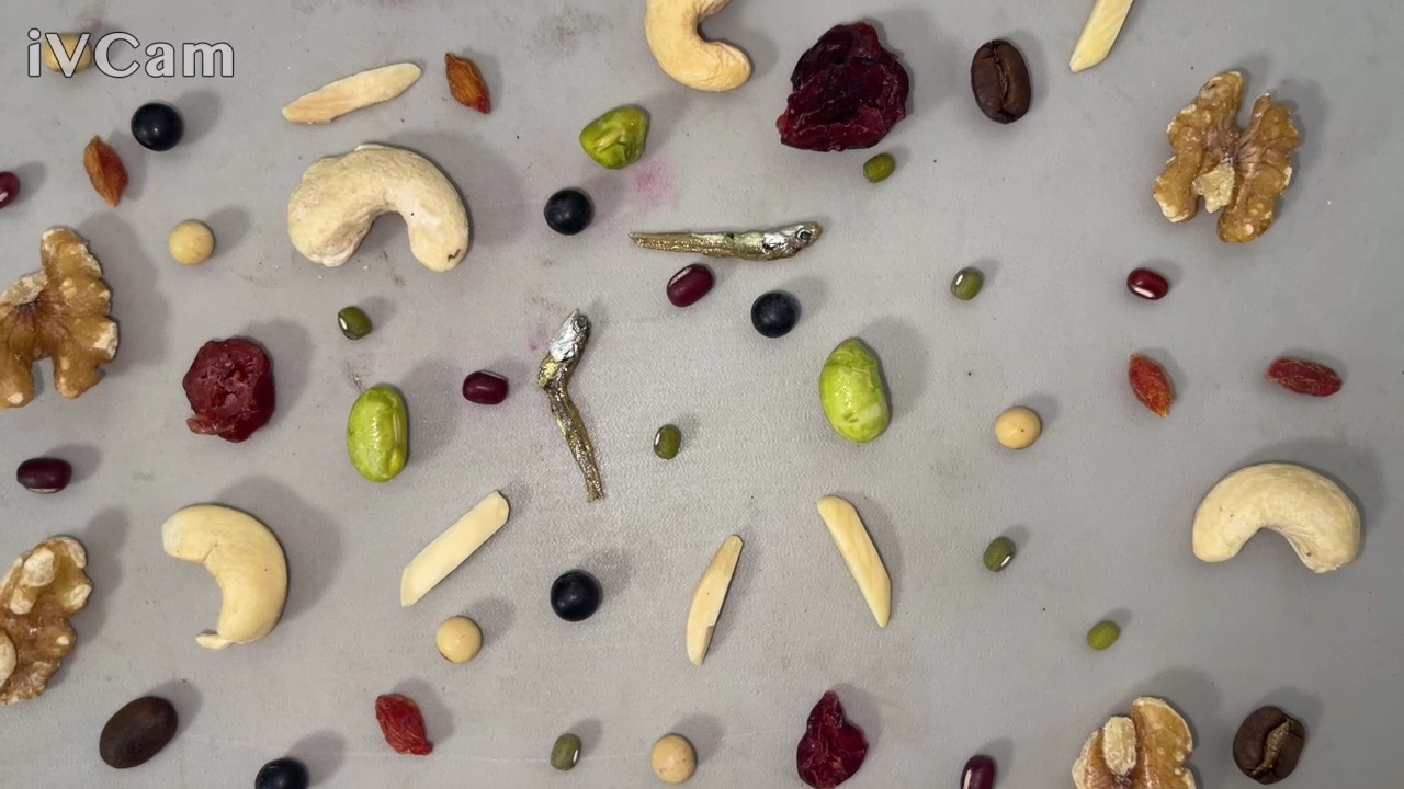 Beans Model Object Detection Dataset and Pre-Trained Model by lit70669