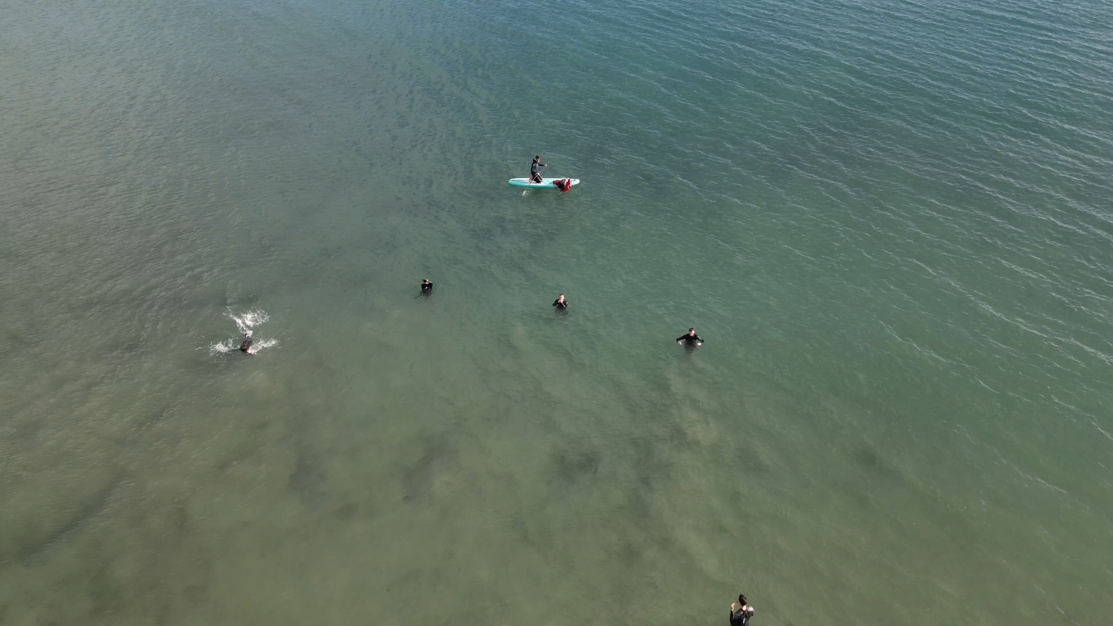 roger-water Object Detection Dataset and Pre-Trained Model by Detection