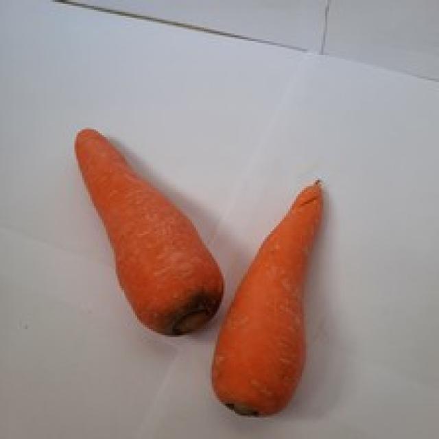 vegetable Object Detection Dataset by jxxy