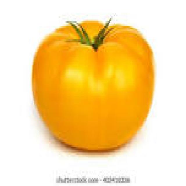 Tomatoes Object Detection Model by Polyna