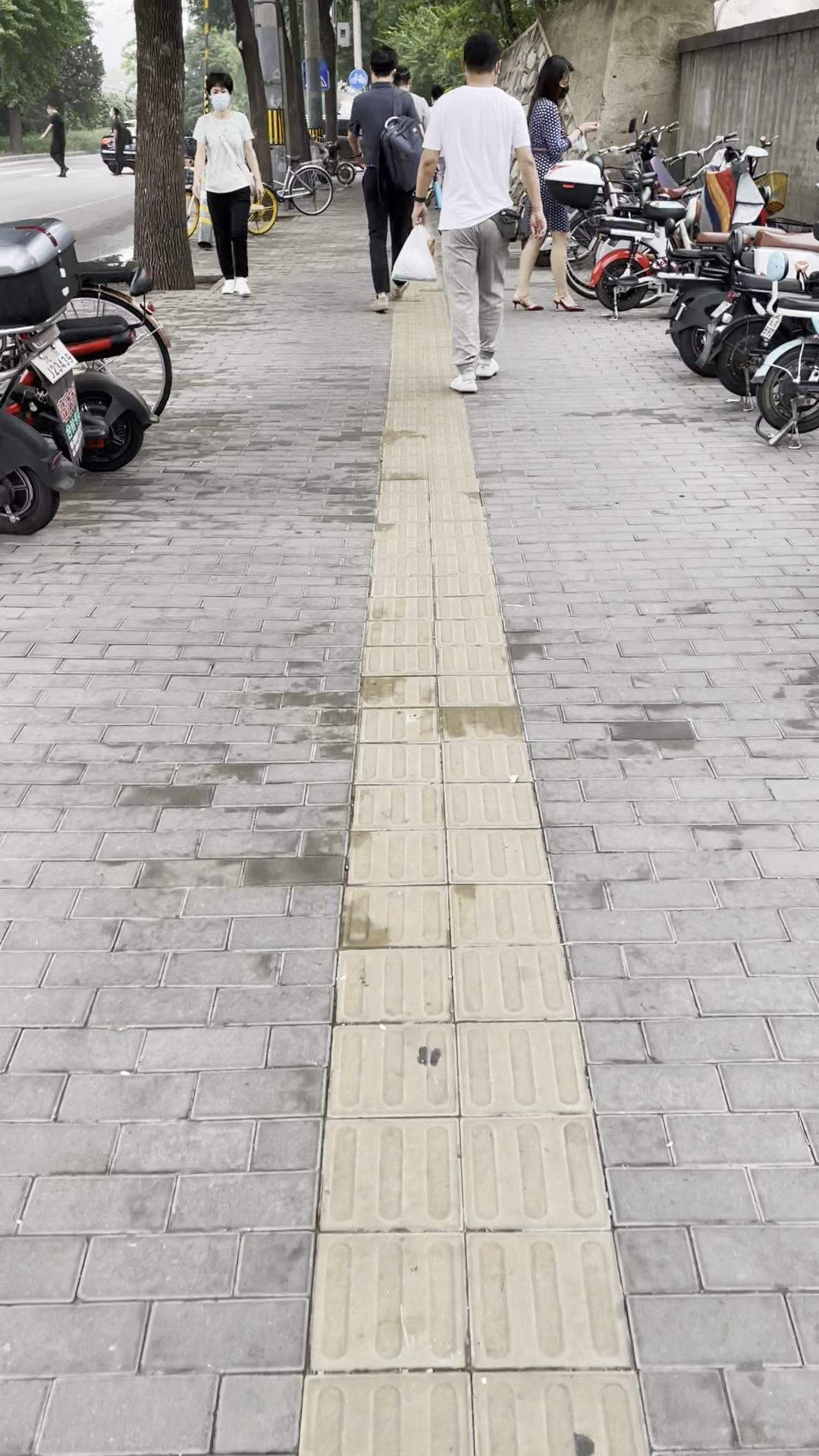 Lane Object Detection Dataset By Lane