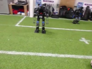 robocup Object Detection Dataset by Segara Bhagas Dagsapurwa