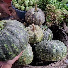 Vegetable Object Detection Dataset by Vegetable
