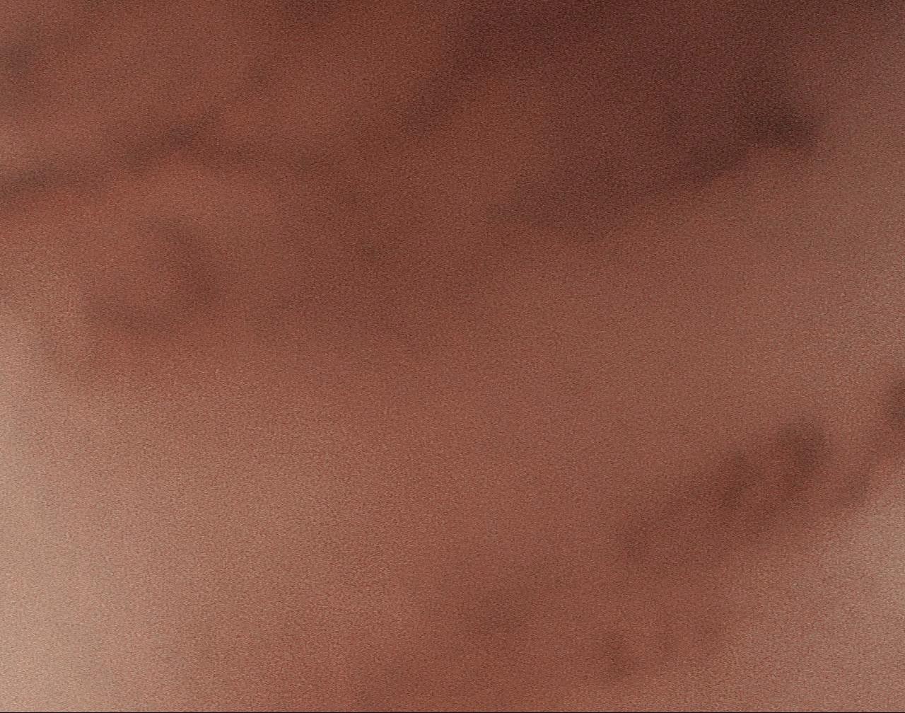 LARYNX_NBI Object Detection Model by Laryngoscope