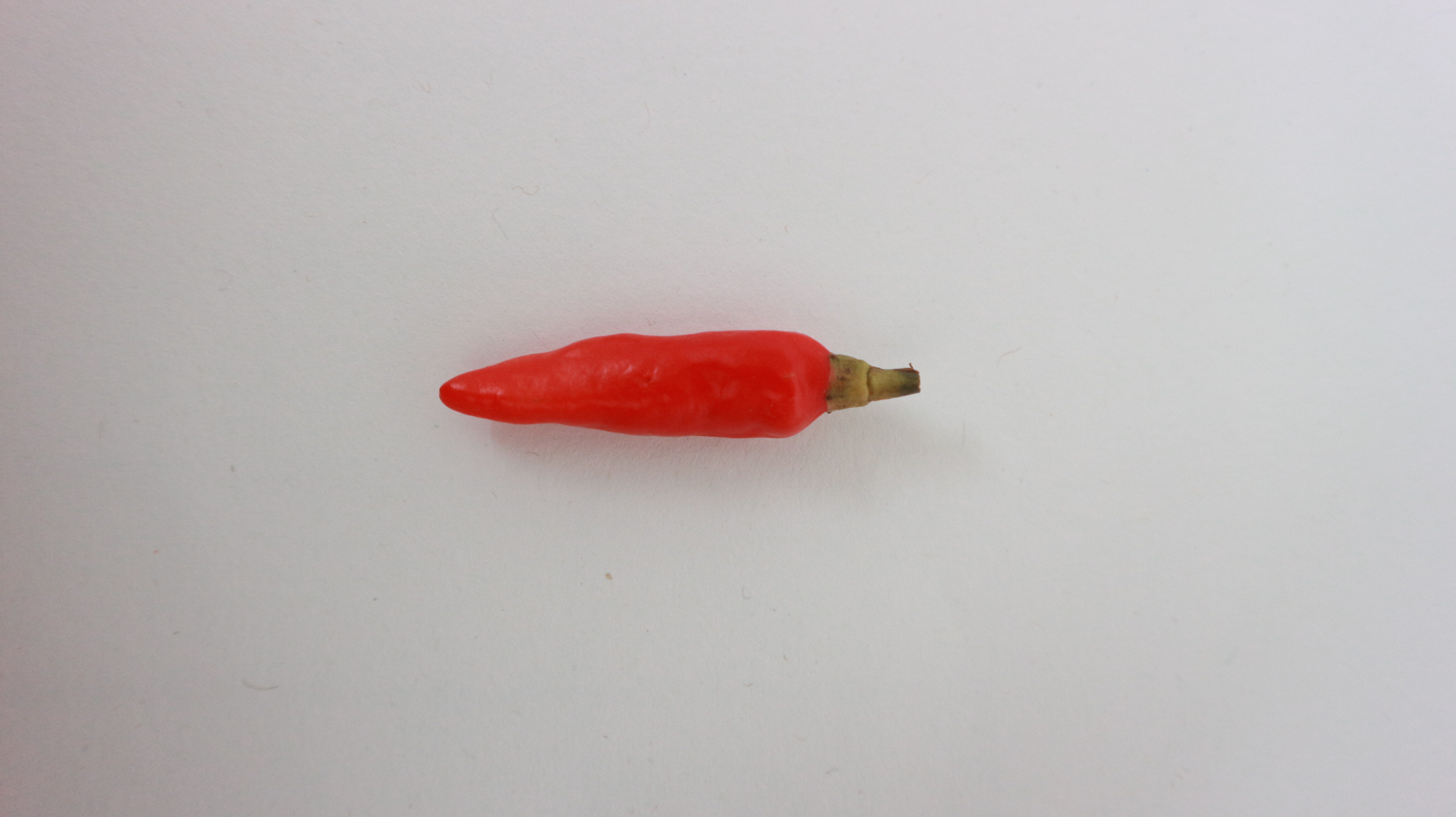 Trying Image Segmentation - Roboflow Universe