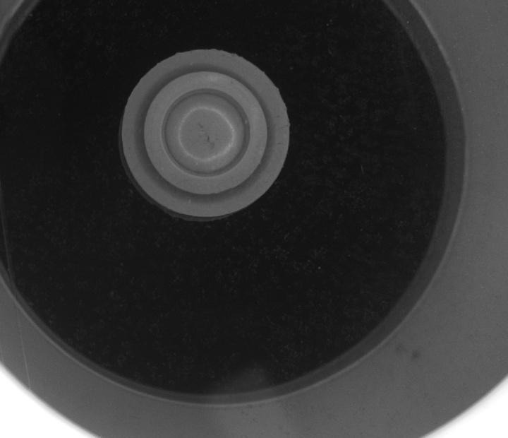 cap_elas_updated_2 Instance Segmentation Dataset by r