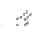 rice detection - Roboflow Universe