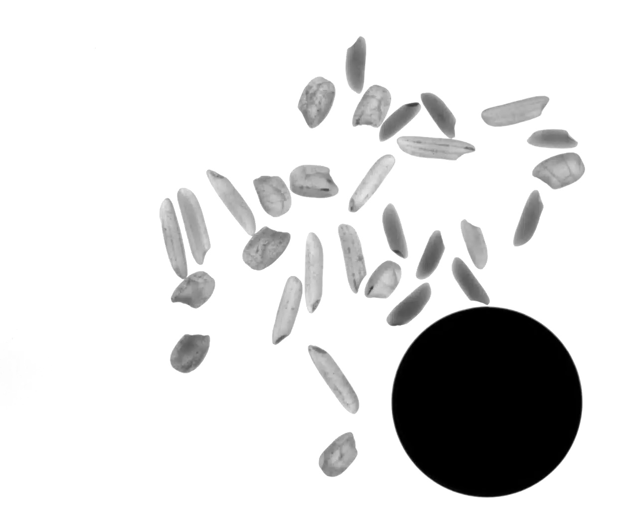 Rice Detection Roboflow Universe