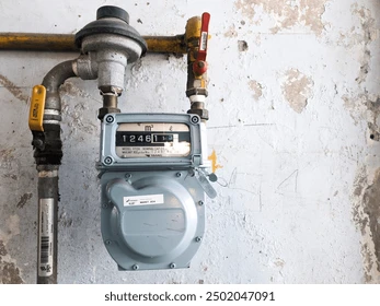 kgs1014 Object Detection Dataset by Gas Meter