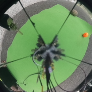 Match Ball Detection Object Detection Model by Ball Detection